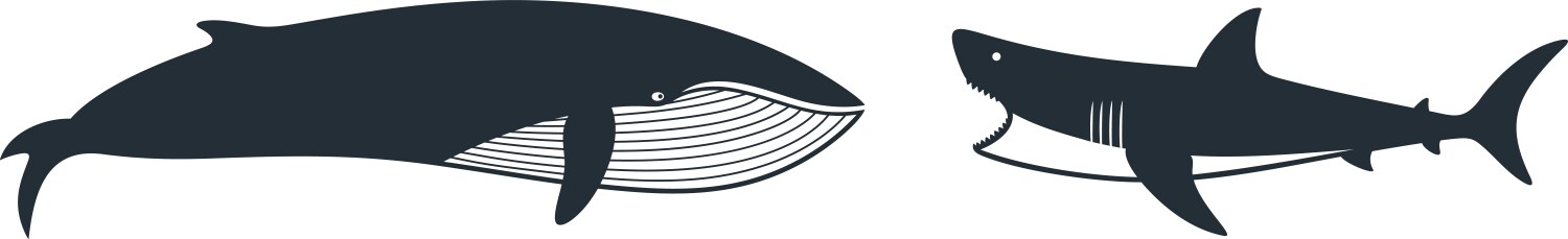 Shark sign Royalty Free Vector Image - VectorStock