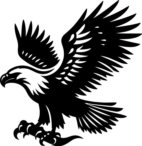 African fish eagle black and white design Vector Image