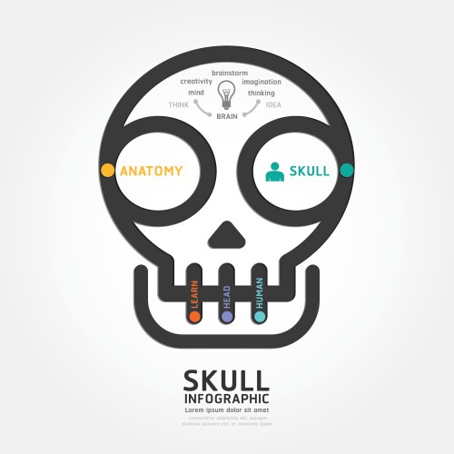 Infographics medical skull bone design diagram Vector Image