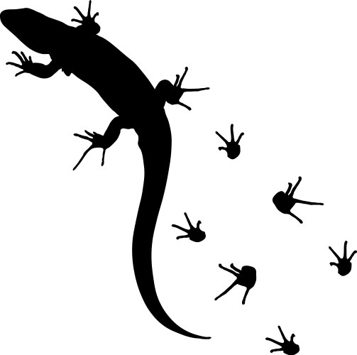 Lizard Footprints Vector Images (over 610)