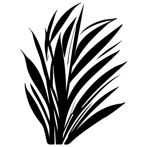 Grass Tuft Drawing Vector Images (over 260)