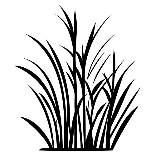 Grass garden sketch hand draw Royalty Free Vector Image