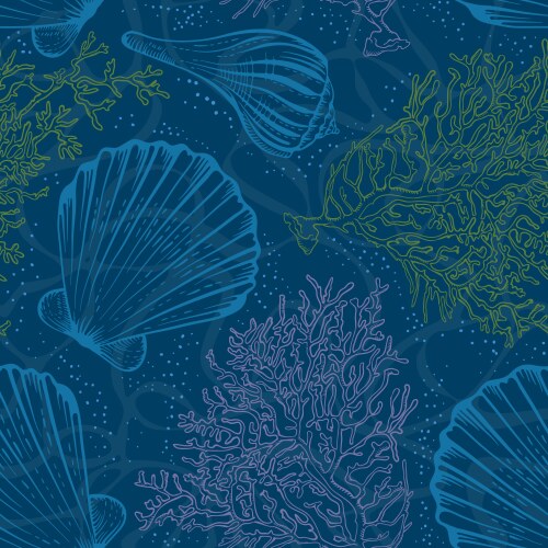 Shell set Royalty Free Vector Image - VectorStock