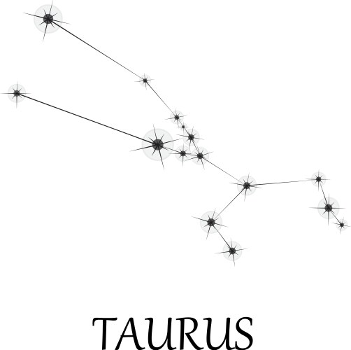Constellation taurus zodiac sign Royalty Free Vector Image