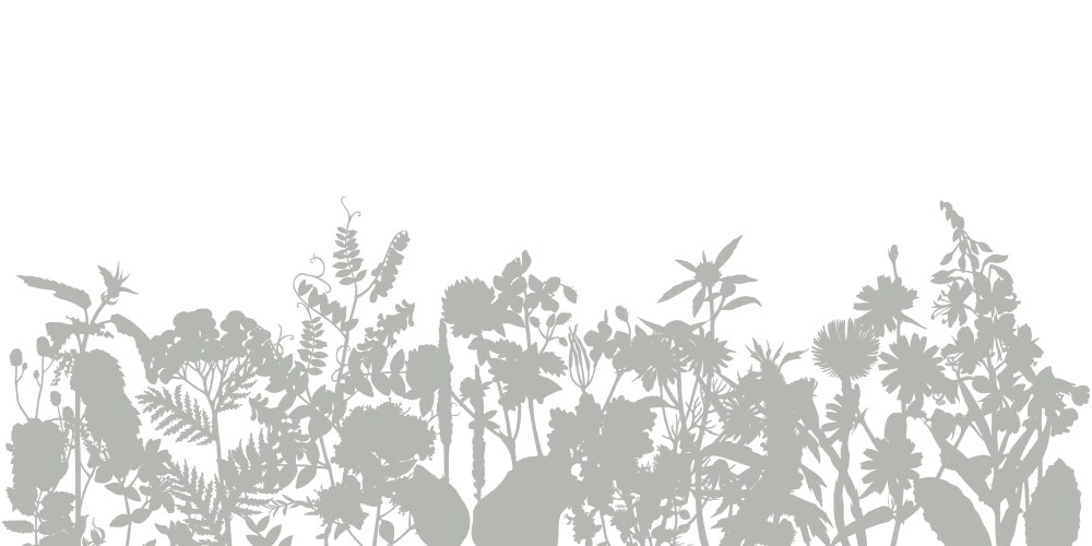 Field of wildflowers border sketch hand drawn Vector Image