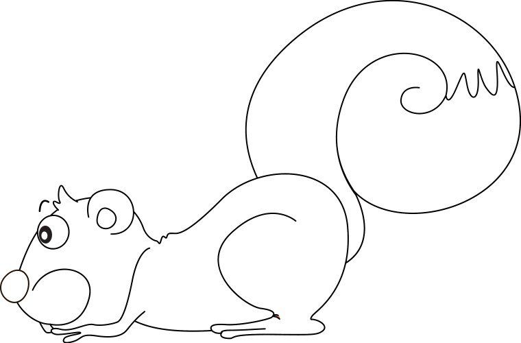 Squirrel Outline Vector Images (over 3,800)