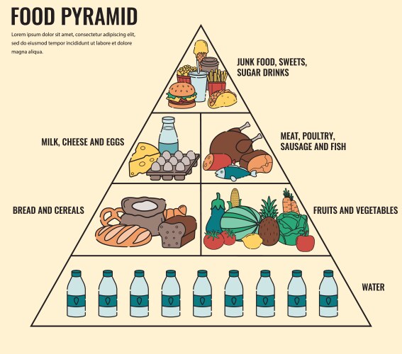 Healthy food pyramid chart Royalty Free Vector Image