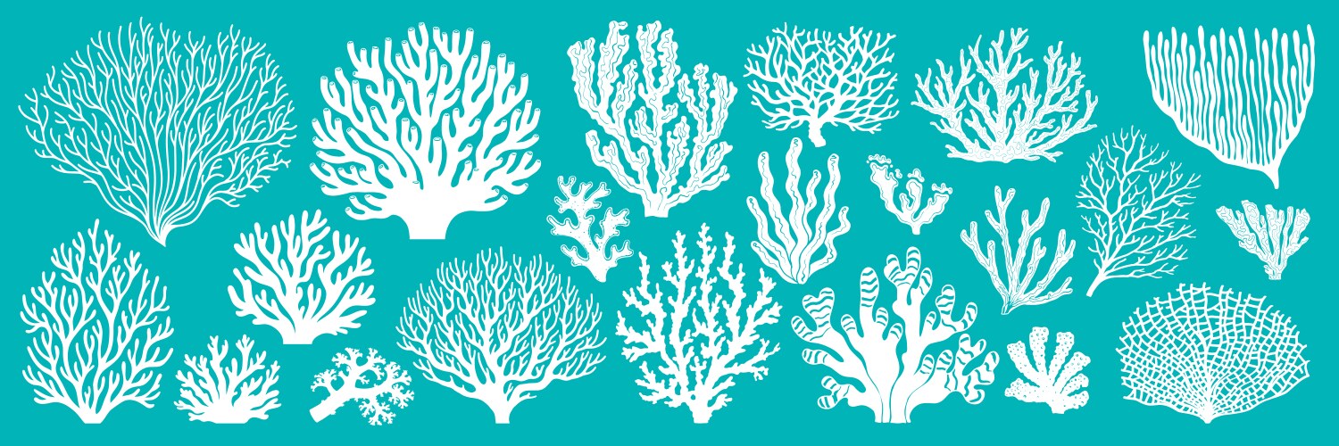 Coral Silhouette Vector Images (over 11,000)