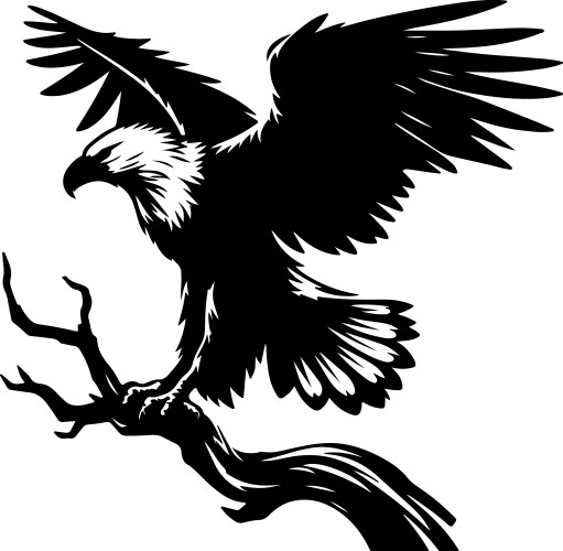 African fish eagle black and white design Vector Image