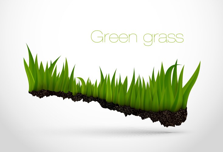 Juicy green grass on cartoon lawn Royalty Free Vector Image