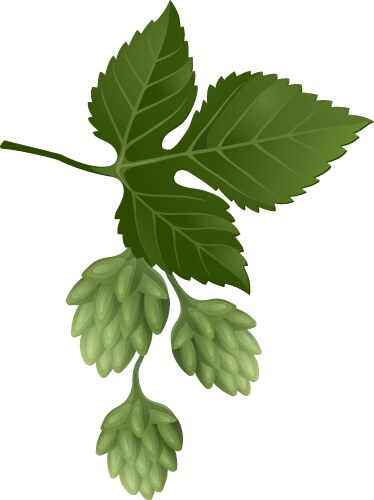 Brunch Symbol Vector Images (über 2,600)