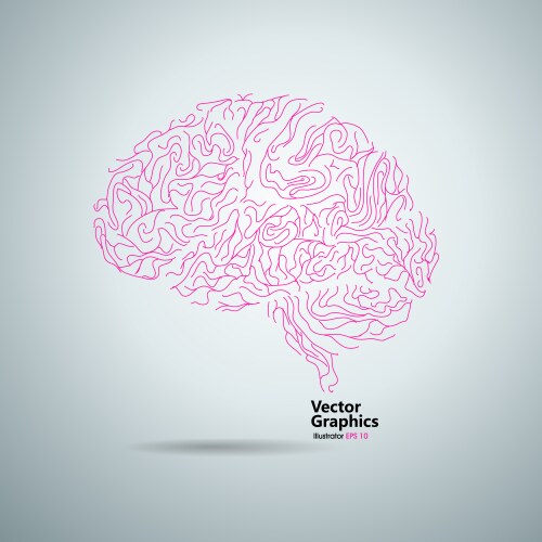 Brain Vector Images (over 240,000)