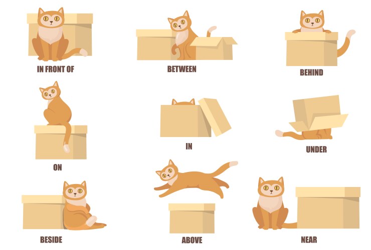 Cat Under Box Vector Images (54)