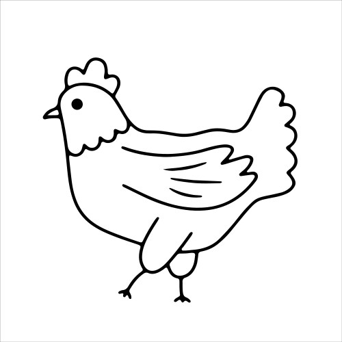 Hen line art Royalty Free Vector Image - VectorStock