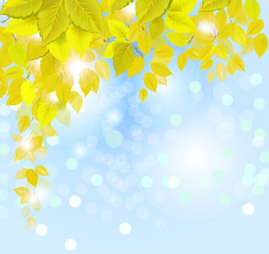 Autumn decoration color background with yellow Vector Image