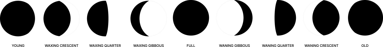 Moon phases planets in solar system astrology Vector Image