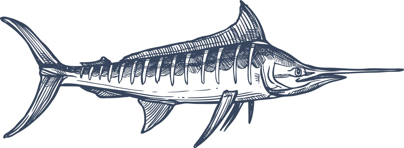 Swordfish Vector Images (over 2,300)
