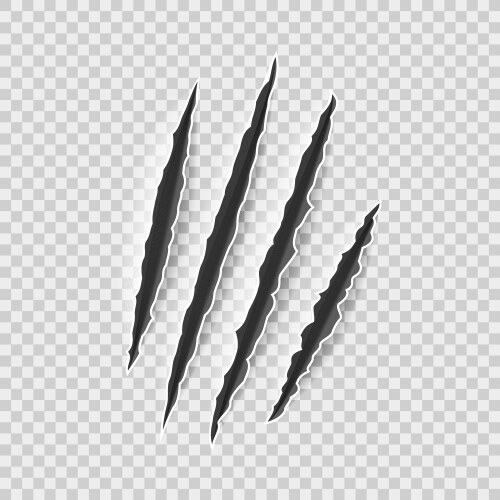 Claw Marks Claw Mark | Scratch | Monster | Dinosaur | Raptor