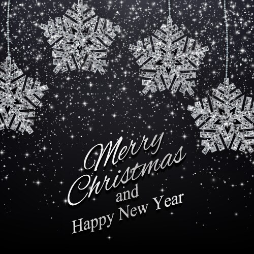 Christmas and new year background with snowflakes Vector Image