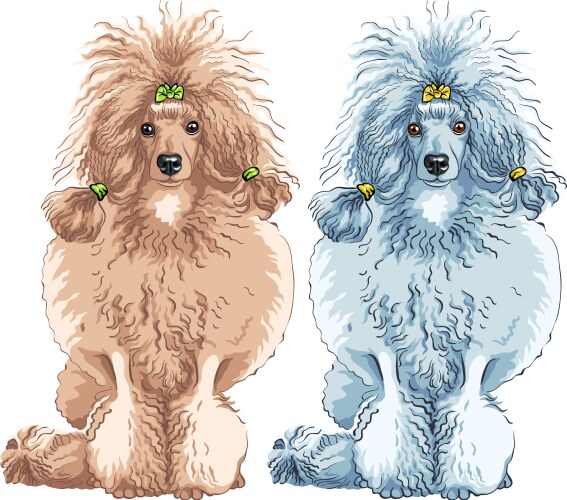 Poodle Vector Images (over 9,100)