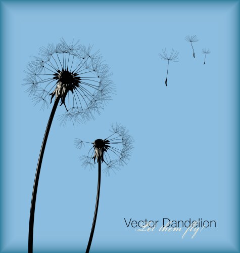 Dandelion Vector Images (over 14,000)