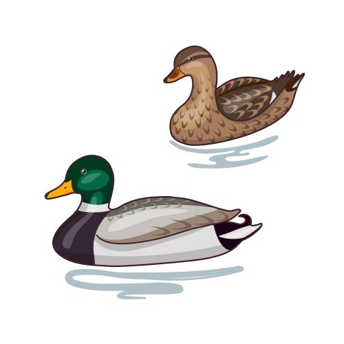 Duck Vector Images (over 61,000)