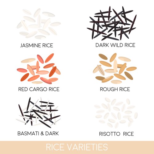 Rice Vector Images (over 90,000)