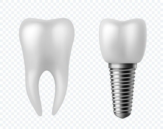 Crown Teeth Vector Images (over 4,500)