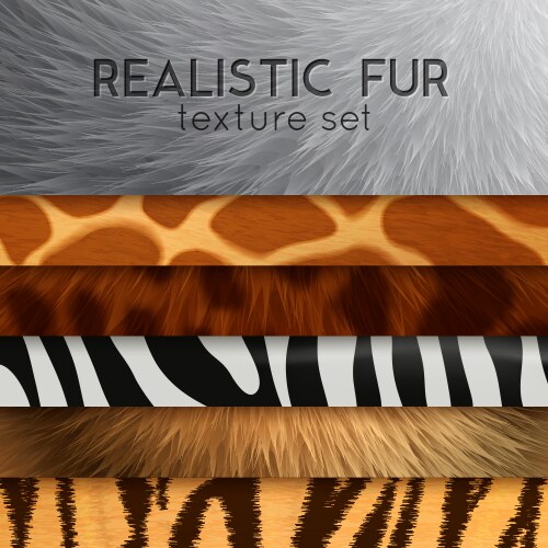 Fur Vector Images (over 180,000)