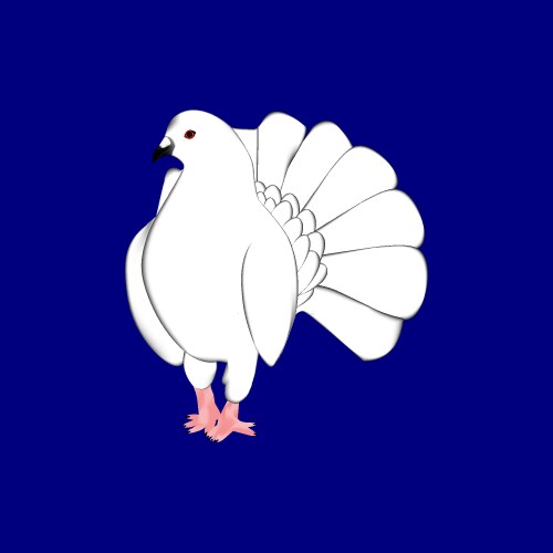 White pigeon design Royalty Free Vector Image - VectorStock