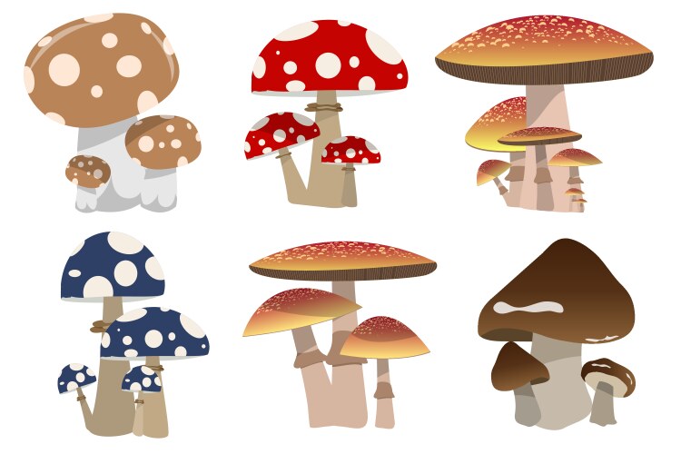Mushroom Vector Images (over 100,000)