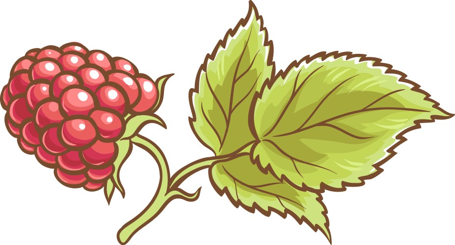 Raspberry Vector Images (over 29,000)