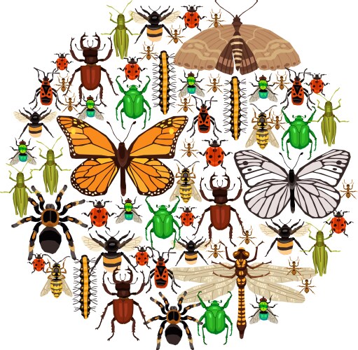 Insects realistic set Royalty Free Vector Image