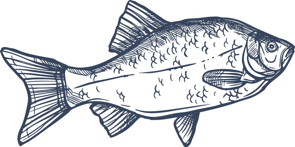 River Sketch Water Vector Images (over 5,700)