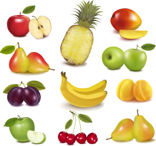 Fruit Vector Images (over 860,000)