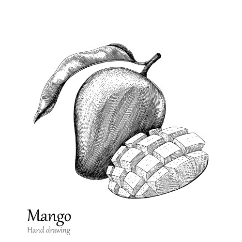 Mango Vector Images (over 22,000)