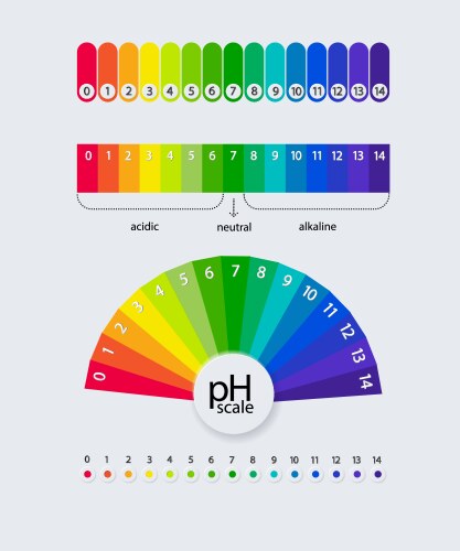 Ph Indicator Chart Vector Images (over 330)