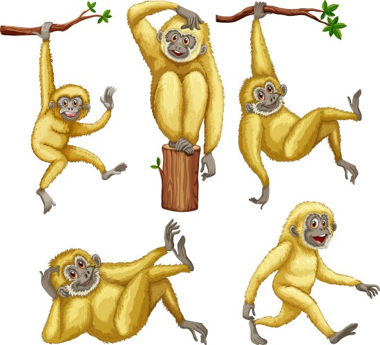 Cartoon smiling gibbon Royalty Free Vector Image