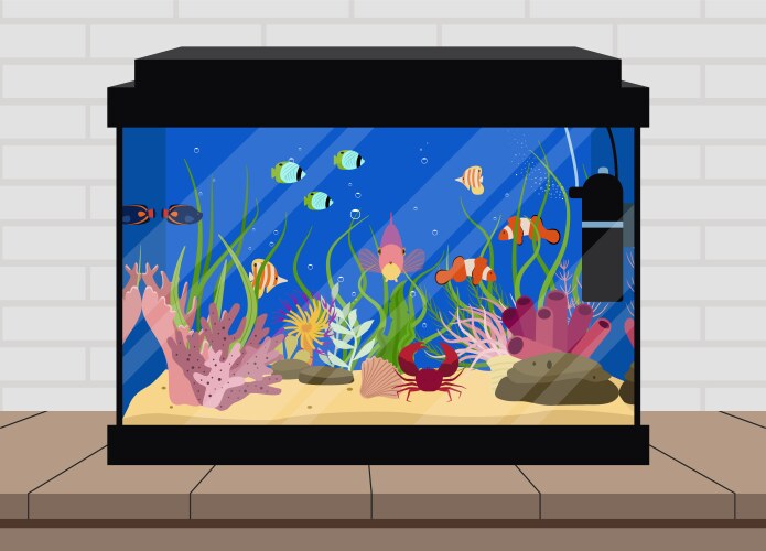 Aquarium Vector Images (over 100,000)