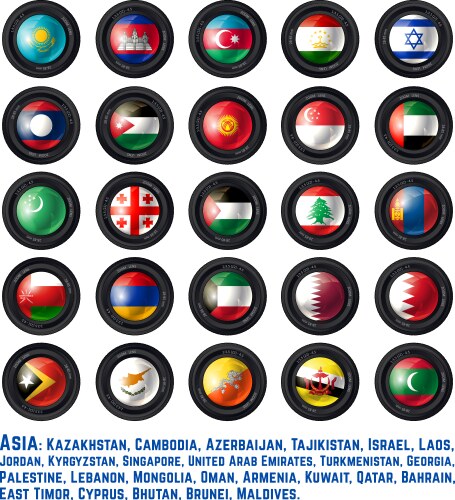 Asia round button flags two Royalty Free Vector Image