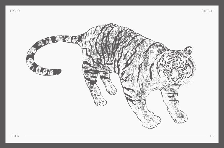 Tiger Outline Vector Images (over 9,600)