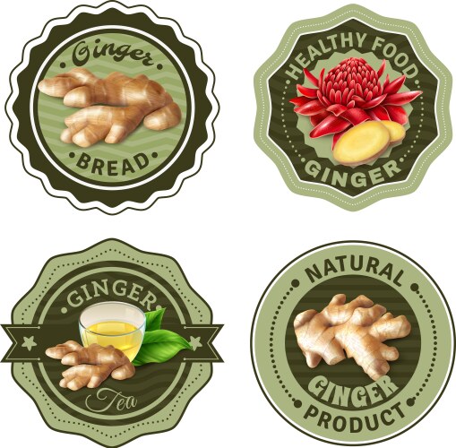 Ginger transparent background set Royalty Free Vector Image