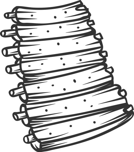 Anatomy of human ribs hand draw vintage clip art Vector Image