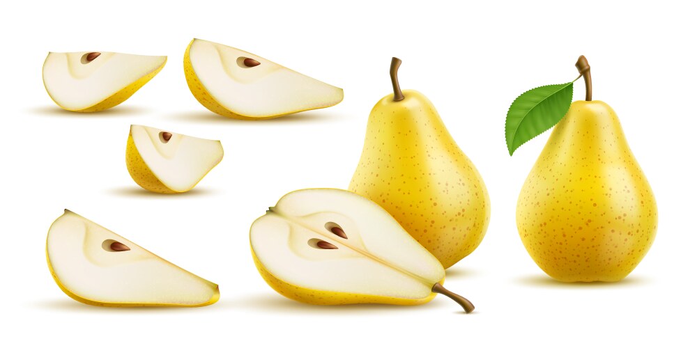 Half Pear Vector Images (over 5,200)