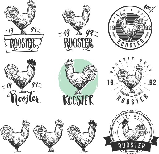 Roster Vector Images (over 1,500)