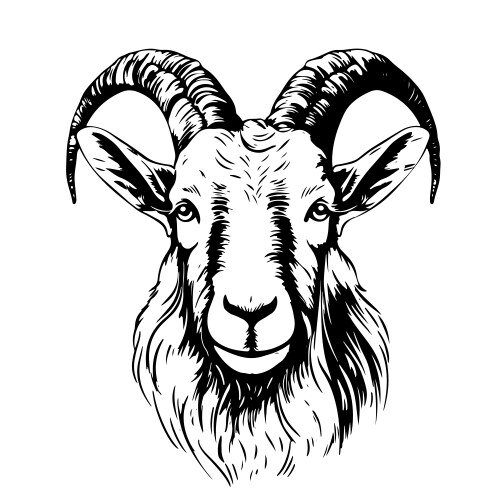 Goat Pencil Drawing Vector Images (over 320)