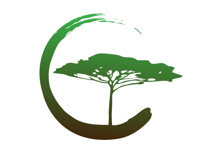 African tree Royalty Free Vector Image - VectorStock