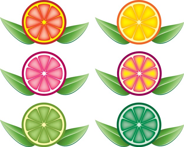Citrus Vector Images (over 99,000)