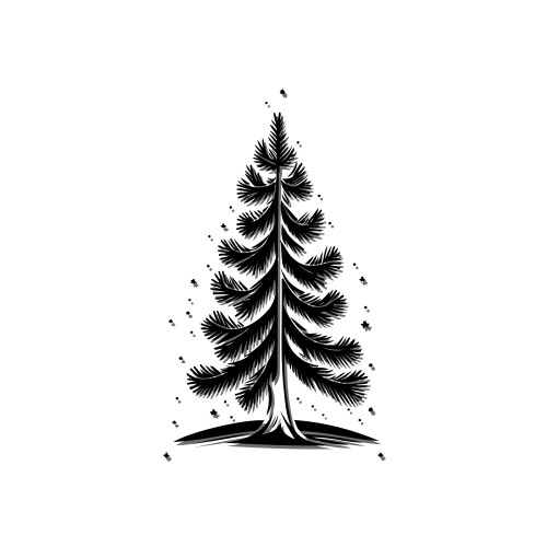 Black Spruce Vector Images (over 23,000)