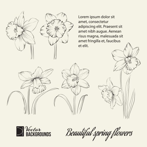 Spring Flower Vector Images (over 710,000)